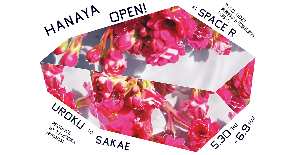 花を愛でるように写真を楽しむ、「HANAYA（花屋）」を期間限定で代官山にオープン ～ビジュアルのアマナが提案する、新たな“花屋”体験 ...